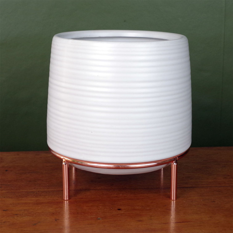 Fairmont Park Ceramic Cachepot | Wayfair.co.uk