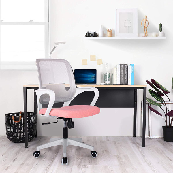 Inbox Zero Hyozo Mesh Task Chair | Wayfair