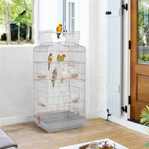 Bird Cages You'll Love - Wayfair Canada