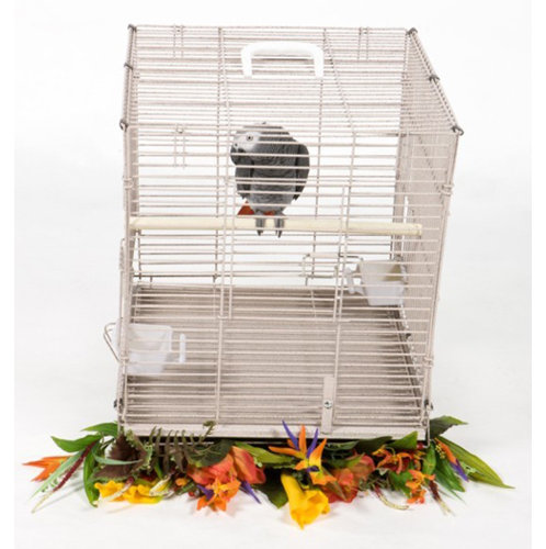 Table Top Bird Cages You'll Love | Wayfair