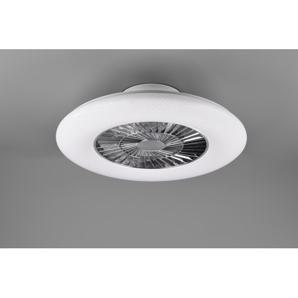 Ivy Bronx LED-DL 40W with valve 40W, Liola, | Wayfair.ie
