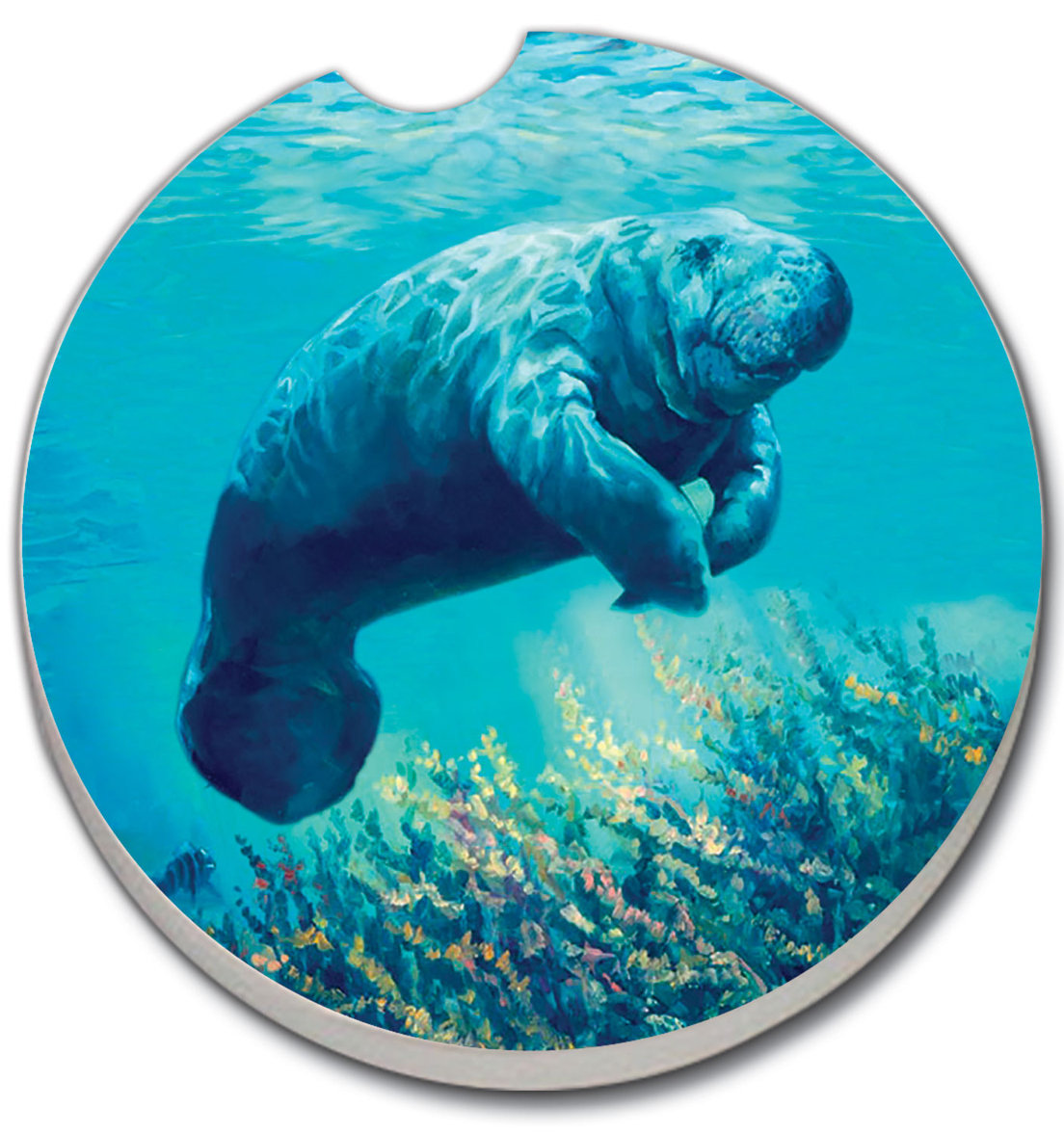 Highland Dunes Manatee in Sunlight Absorbent Stone Car Coaster | Wayfair