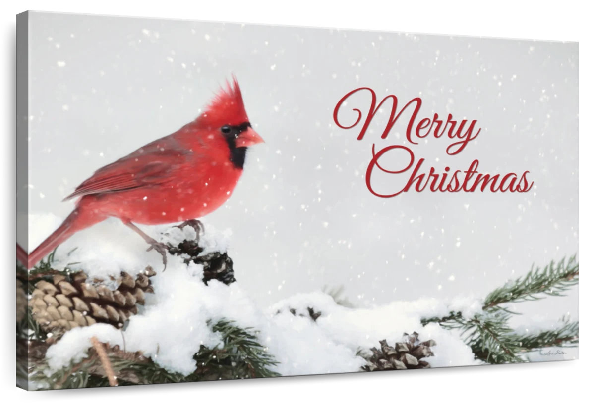 Elephant Stock Merry Christmas Cardinal | Wayfair
