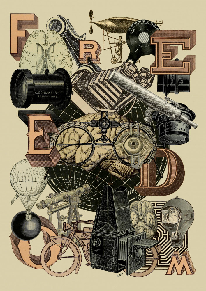 Trent Austin Design Freedom | Wayfair.co.uk