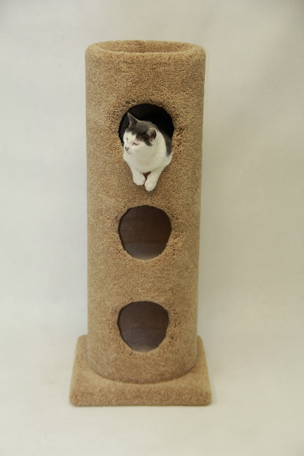 Beatrise Pet Products 13" Cat Condo & Reviews | Wayfair