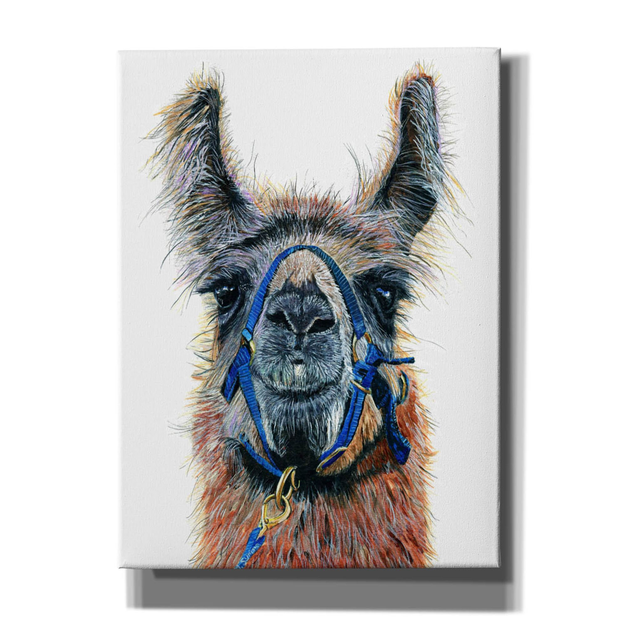 Dakota Fields Meera Dalai Llama by Melissa Symons | Wayfair