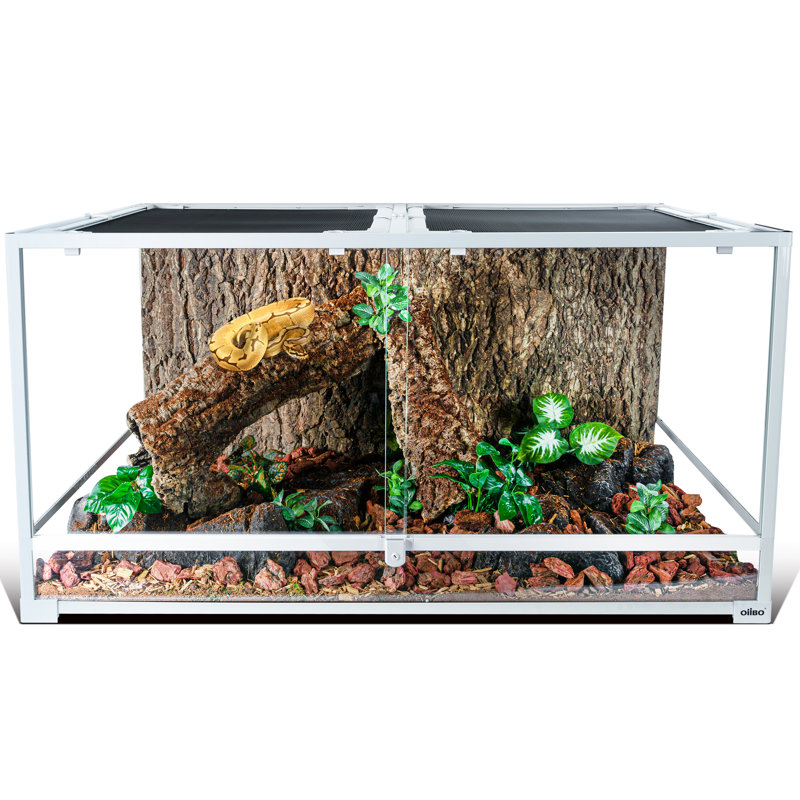 OiiBO 120 Gallon Terrarium & Reviews | Wayfair