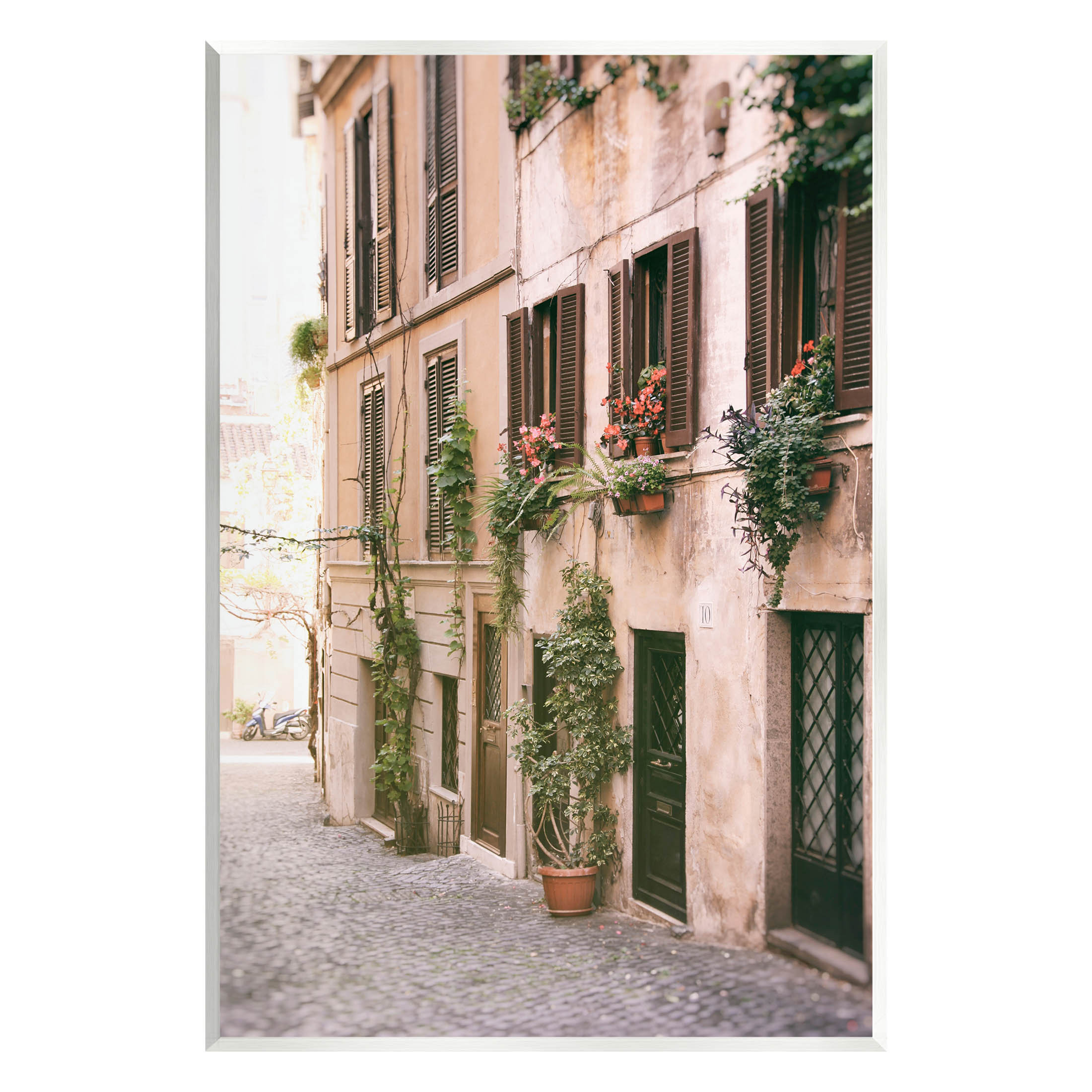 Winston Porter Town Street Building Plants by Carina Okula - Unframed ...