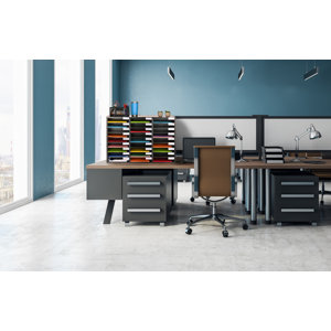 AdirOffice Manufactured Wood Compartment Mailroom Organizer | Wayfair