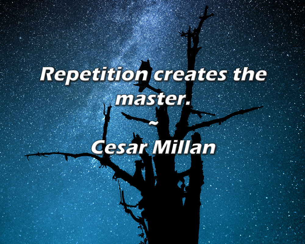 Ophelia & Co. Cesar Millan Quote: Repetition creates the master ...