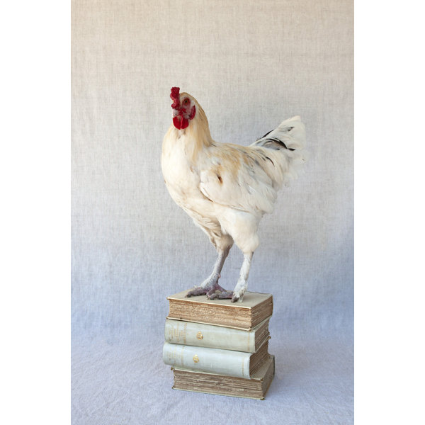 August Grove Tania Soderman Books IV by Tania Soderman - Wrapped Canvas ...