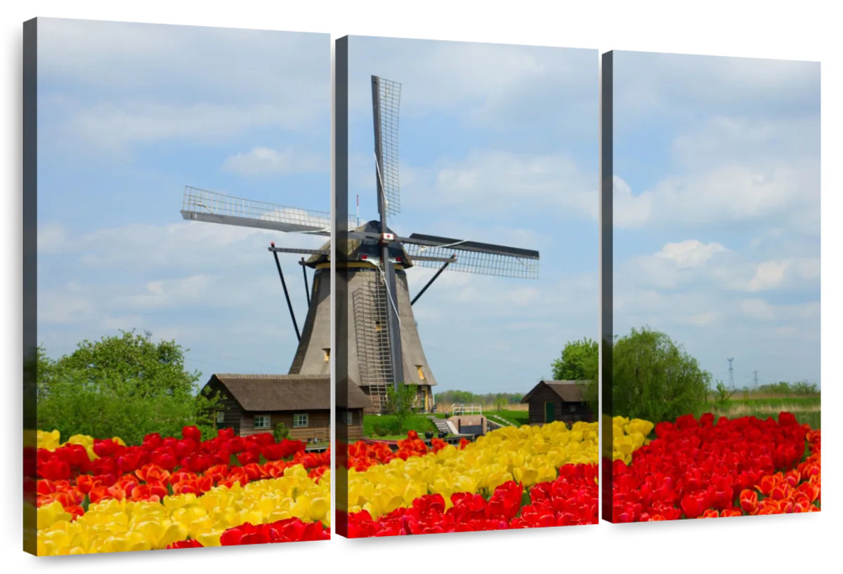 Elephant Stock Windmill Tulips | Wayfair