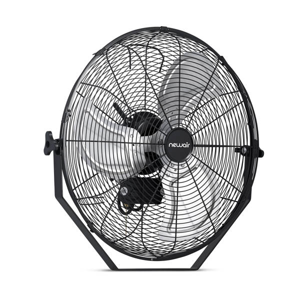NewAir 55.9" Oscillating Standing Fan & Reviews | Wayfair