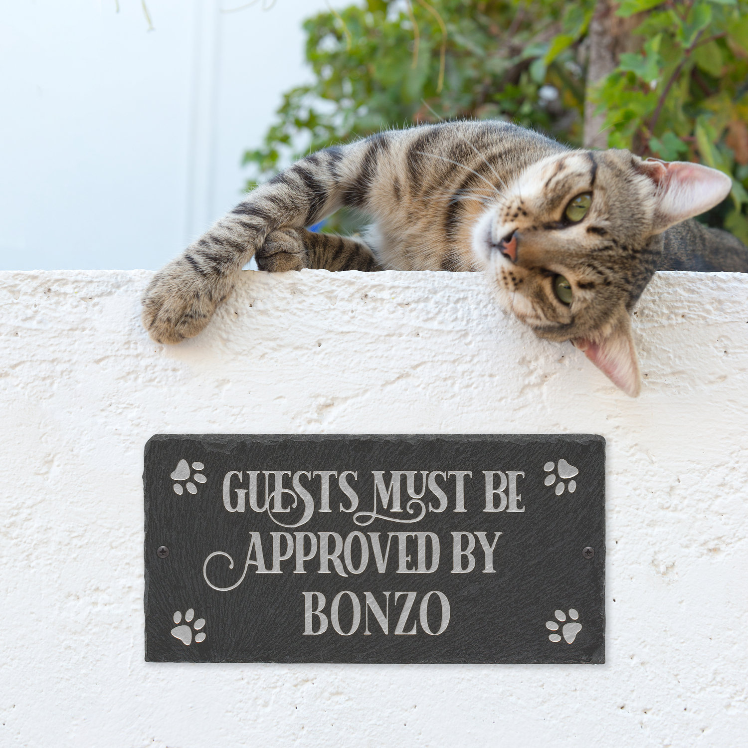 Whitehall Products Pet Approved 1-Line Personalized Etched Wall Slate ...