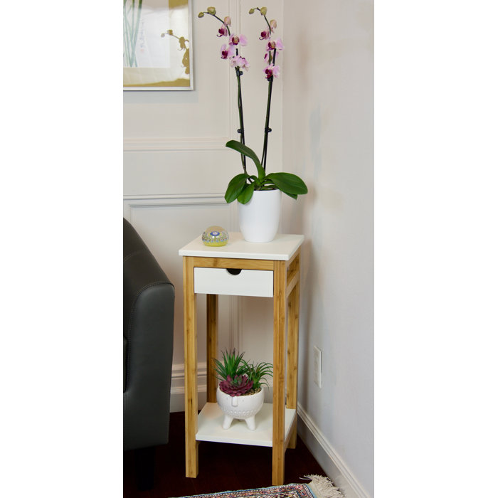 Wade Logan® Alfie-Thomas End Table with Storage & Reviews | Wayfair