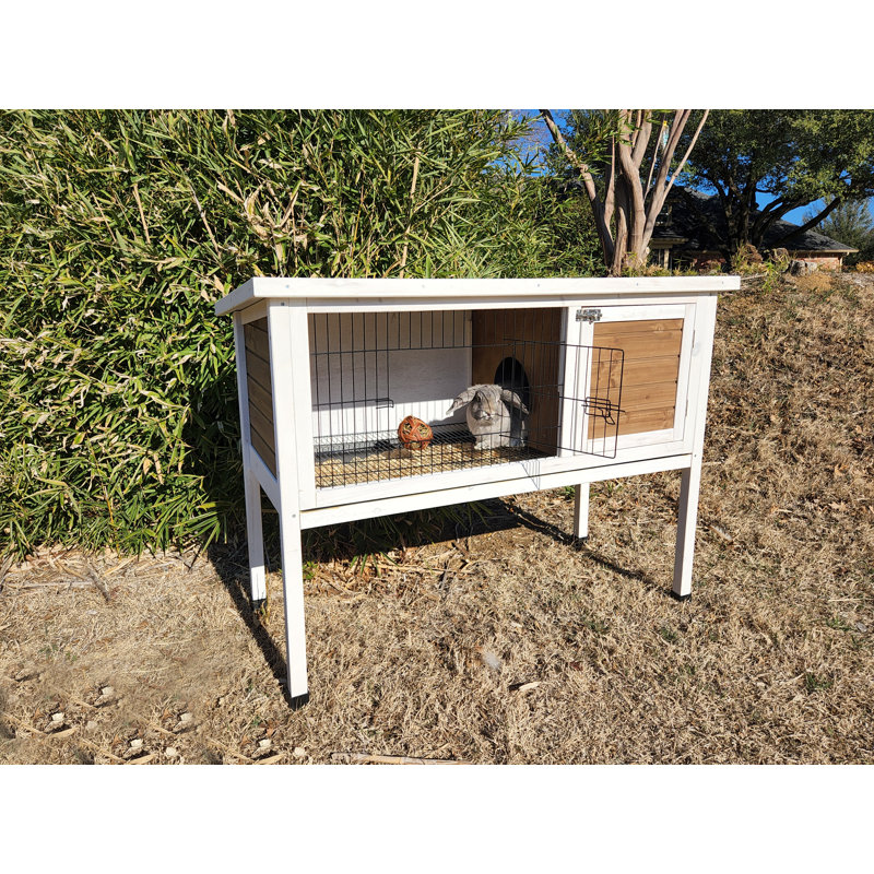 Zylina Wood Rabbit Hutch for Rabbits, Bunnies and Guinea Pigs | Wayfair