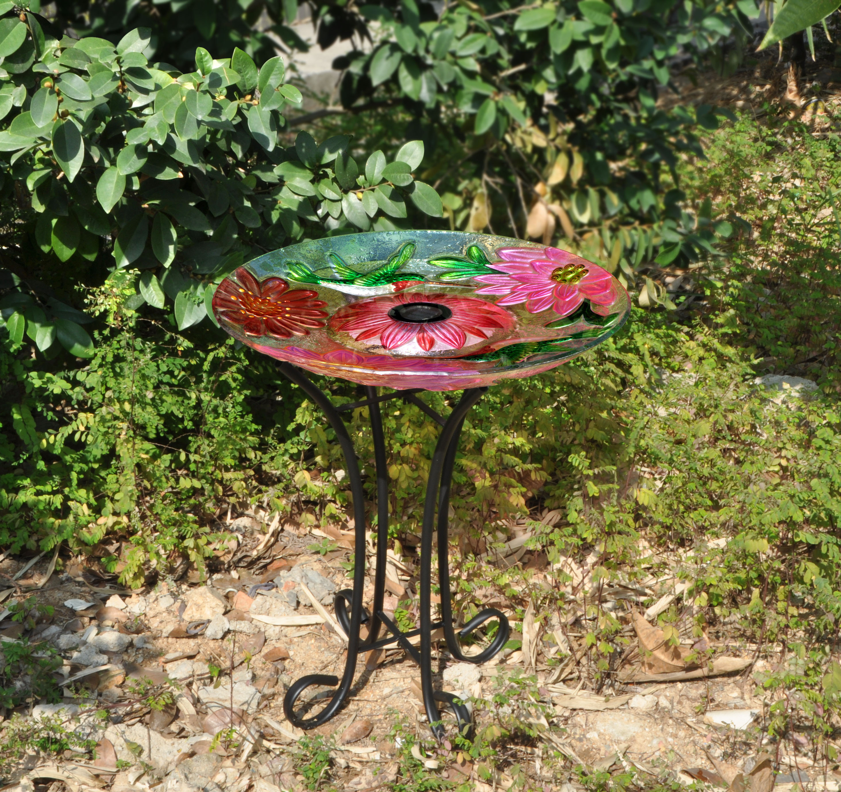 Hi-Line Gift Ltd. Solar Floral Glass Hummingbird Bath with Stand ...