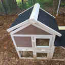 Tucker Murphy Pet™ Garvin Chicken Run & Reviews | Wayfair