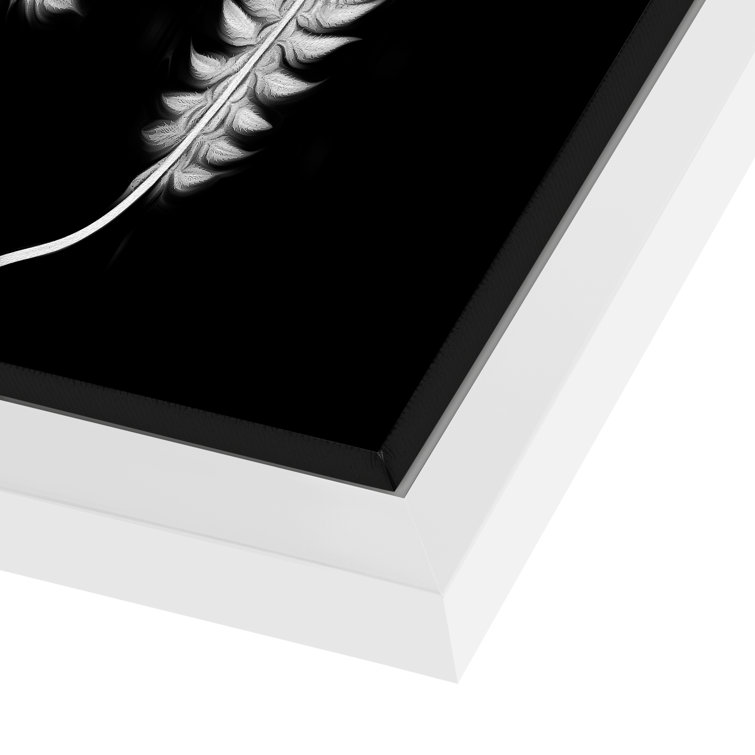 Gracie Oaks Swirl Ferns I By Chaos & Wonder Design Modern Wall Art ...