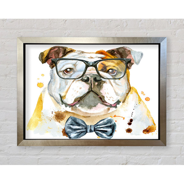Bright Star The Bulldog With Glasses - Single Picture Frame Art Prints ...