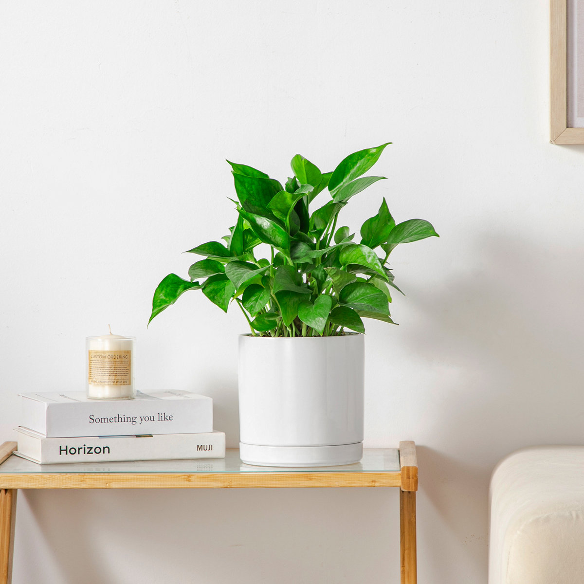 Dakota Fields Ceramic Plant Pots | Wayfair.co.uk