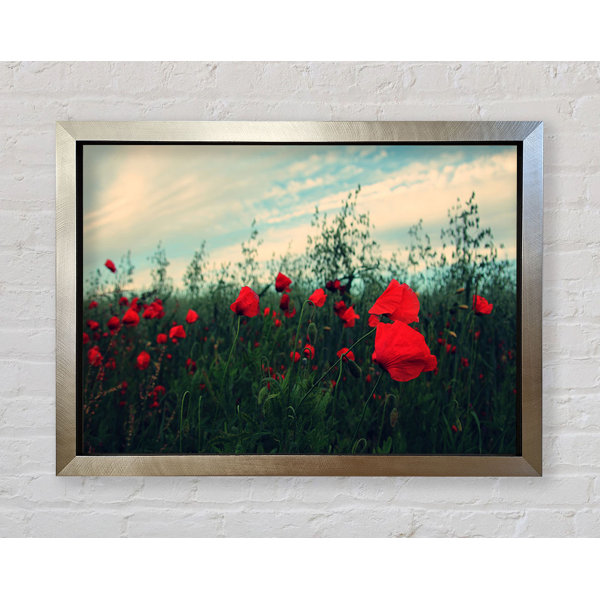 Ebern Designs Red Poppies On A Windy Day - Single Picture Frame Print ...
