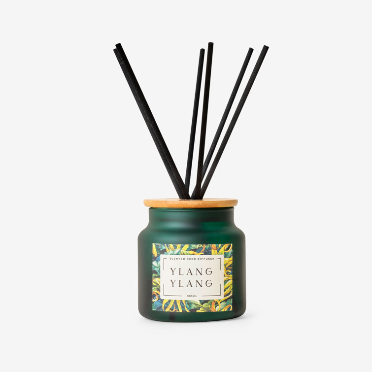 Symple Stuff Ylang Ylang Diffuser, Green, 500 Ml | Wayfair.co.uk