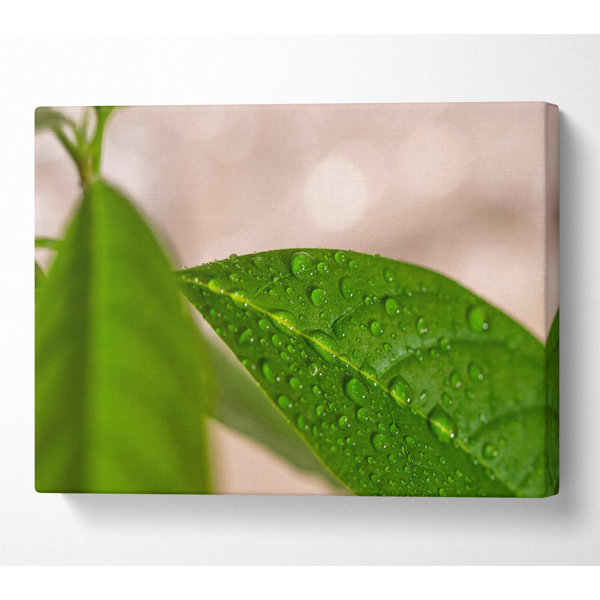Latitude Run No Frame Print on Canvas | Wayfair.co.uk