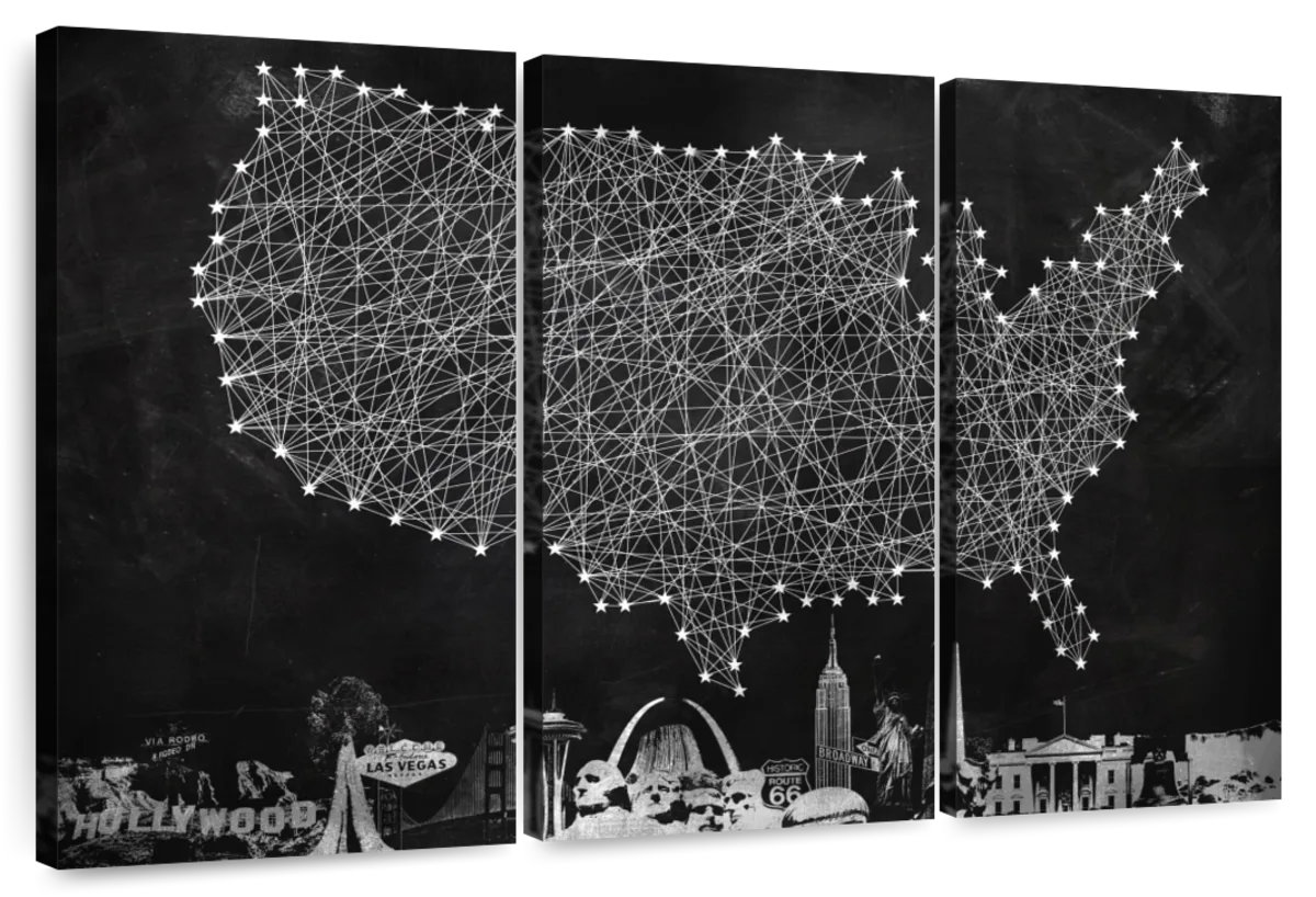 Breakwater Bay Aliaz BW Strings USA Map | Wayfair