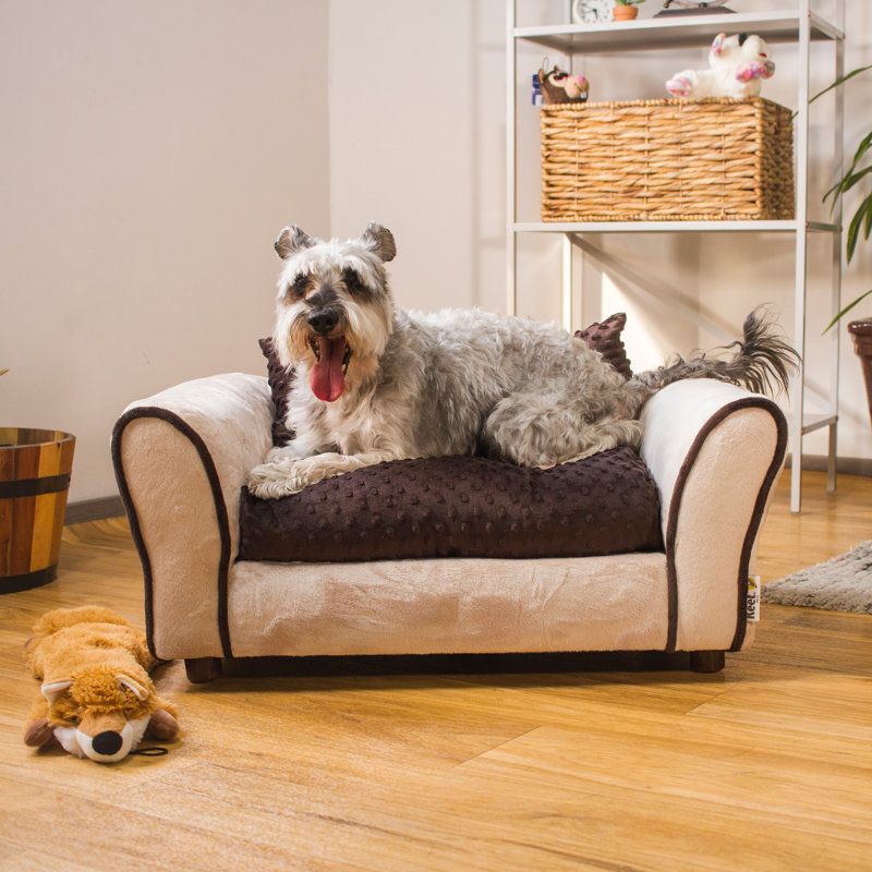 Tucker Murphy Pet™ Pablo Dog Sofa & Reviews | Wayfair