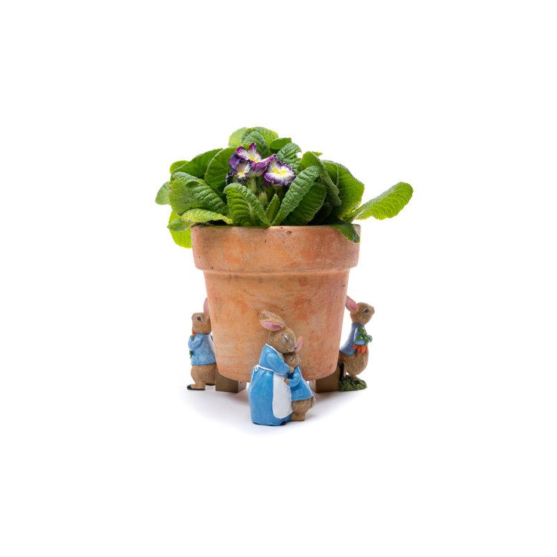 Jardinopia Beatrix Potter Peter Rabbit Coloured Planter Feet In Gift ...