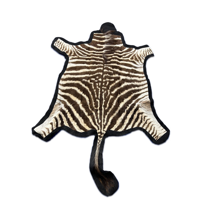 Bungalow Rose Real Zebra Skin Rug (Small Size) | Wayfair
