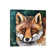Alpen Home Fox by Kim Winberry - Wrapped Canvas Painting | Wayfair.co.uk