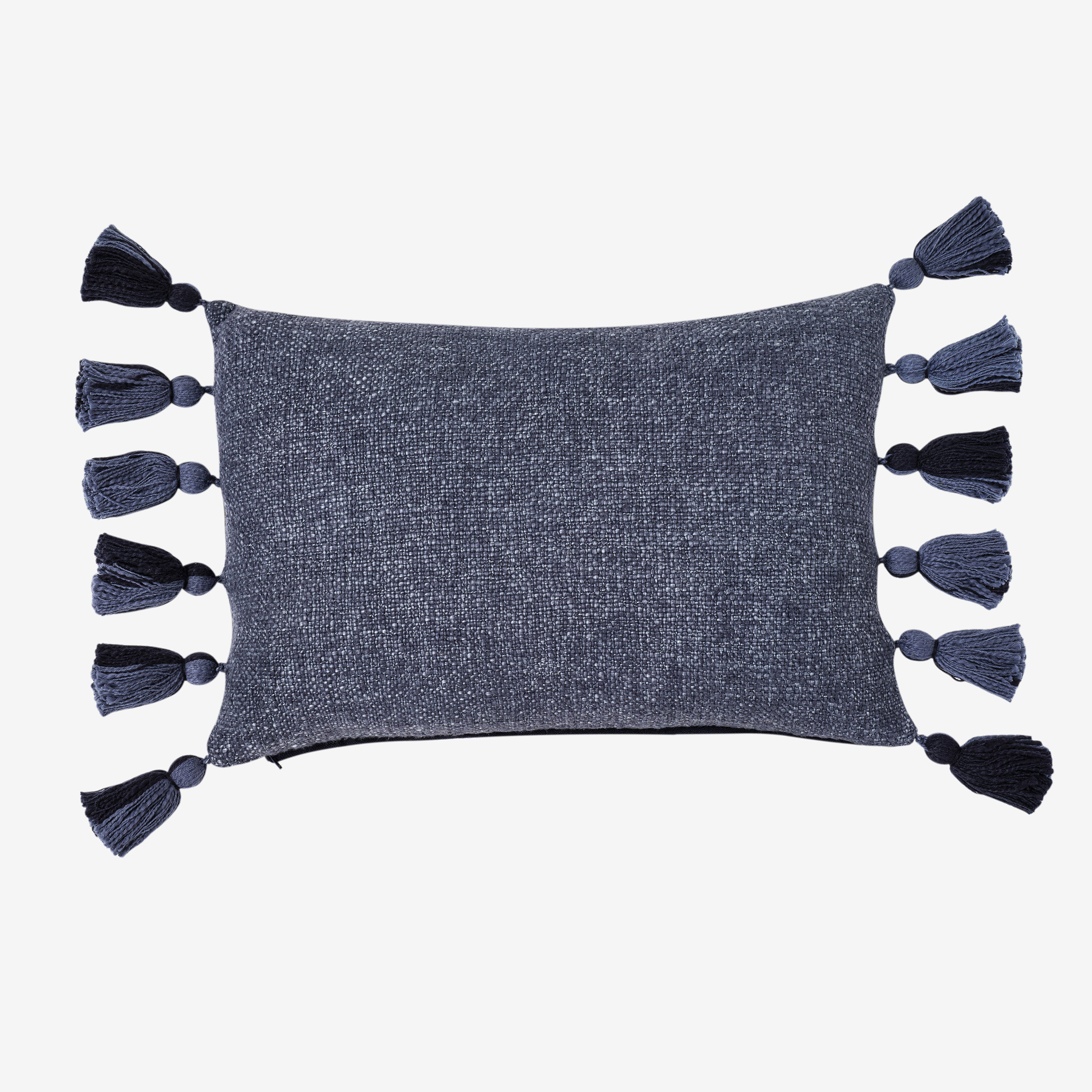 Bloomsbury Market Brandine Embroidered Rectangular Lumbar Cushion Cover ...