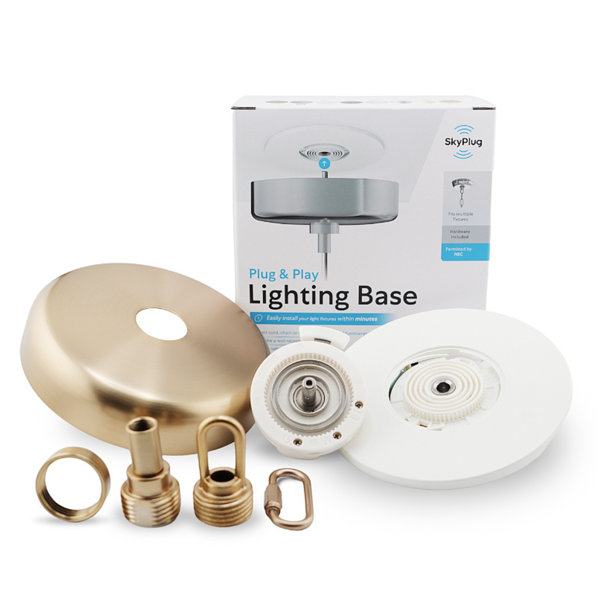 SKYX Platforms SkyPlug Canopy Lighting Kit - Carina & Reviews - Wayfair ...