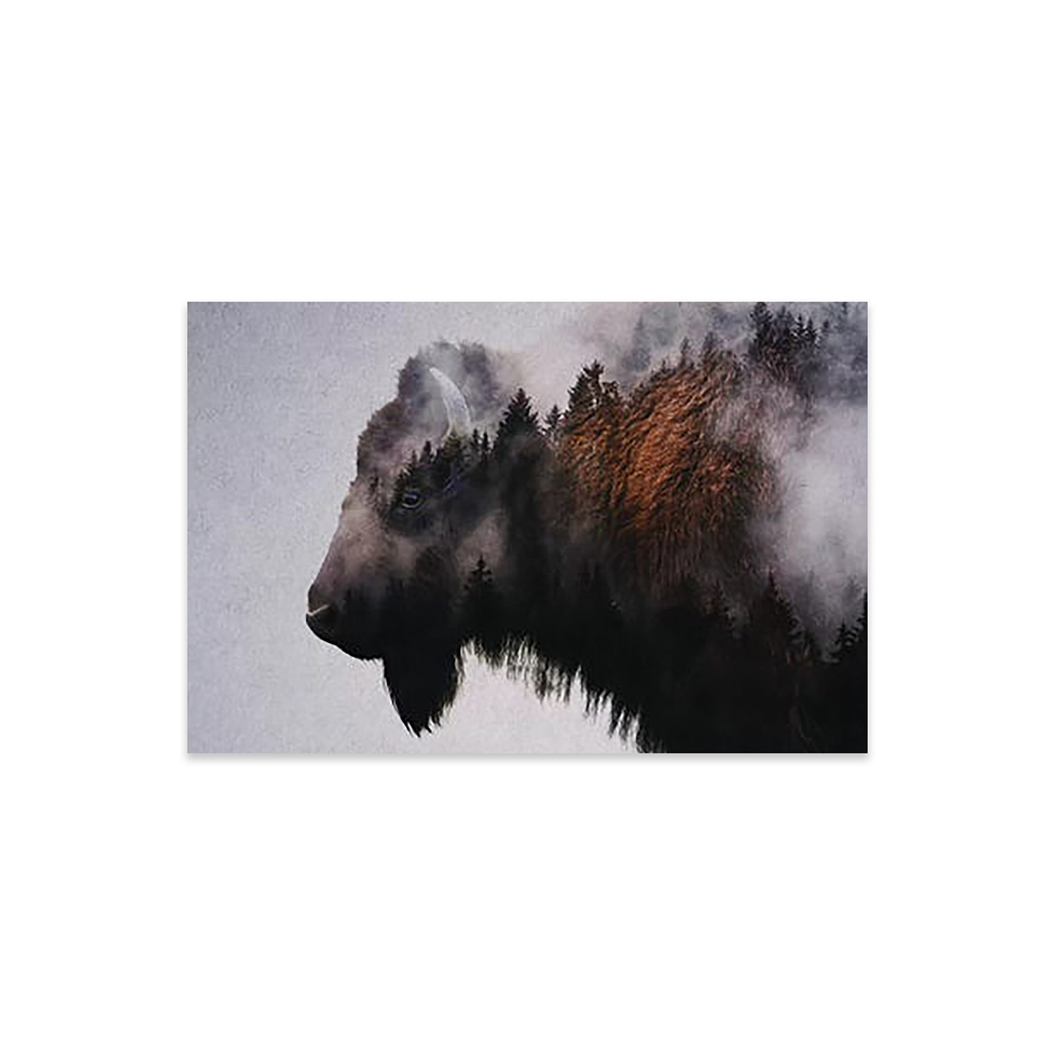 Millwood Pines Bison by Andreas Lie - Unframed Graphic Art - Wayfair Canada