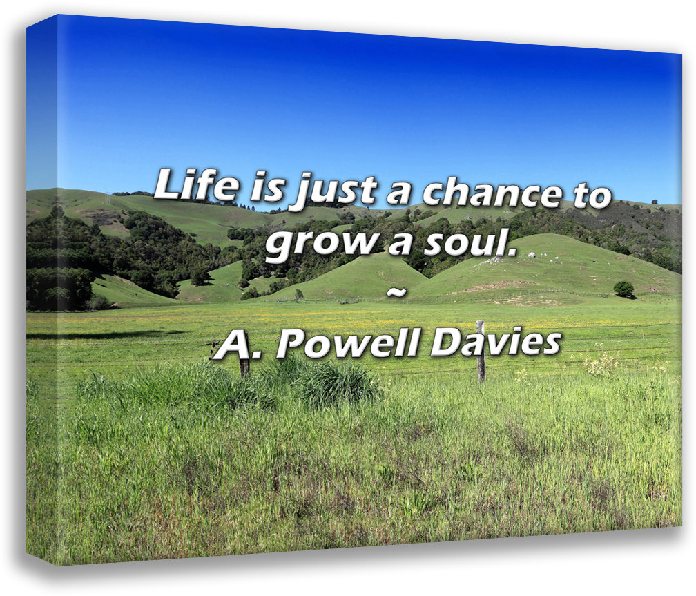 Trinx A. Powell Davies Quote: Life is just a chance to grow a soul ...