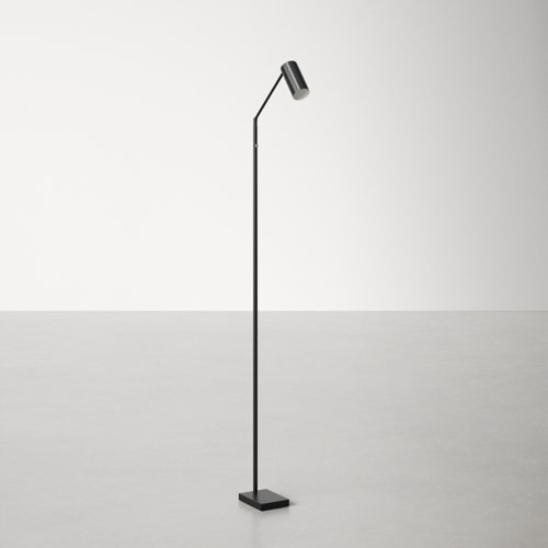 AllModern Koen 69'' Black Painted Metal LED Task/Reading Floor Lamp ...