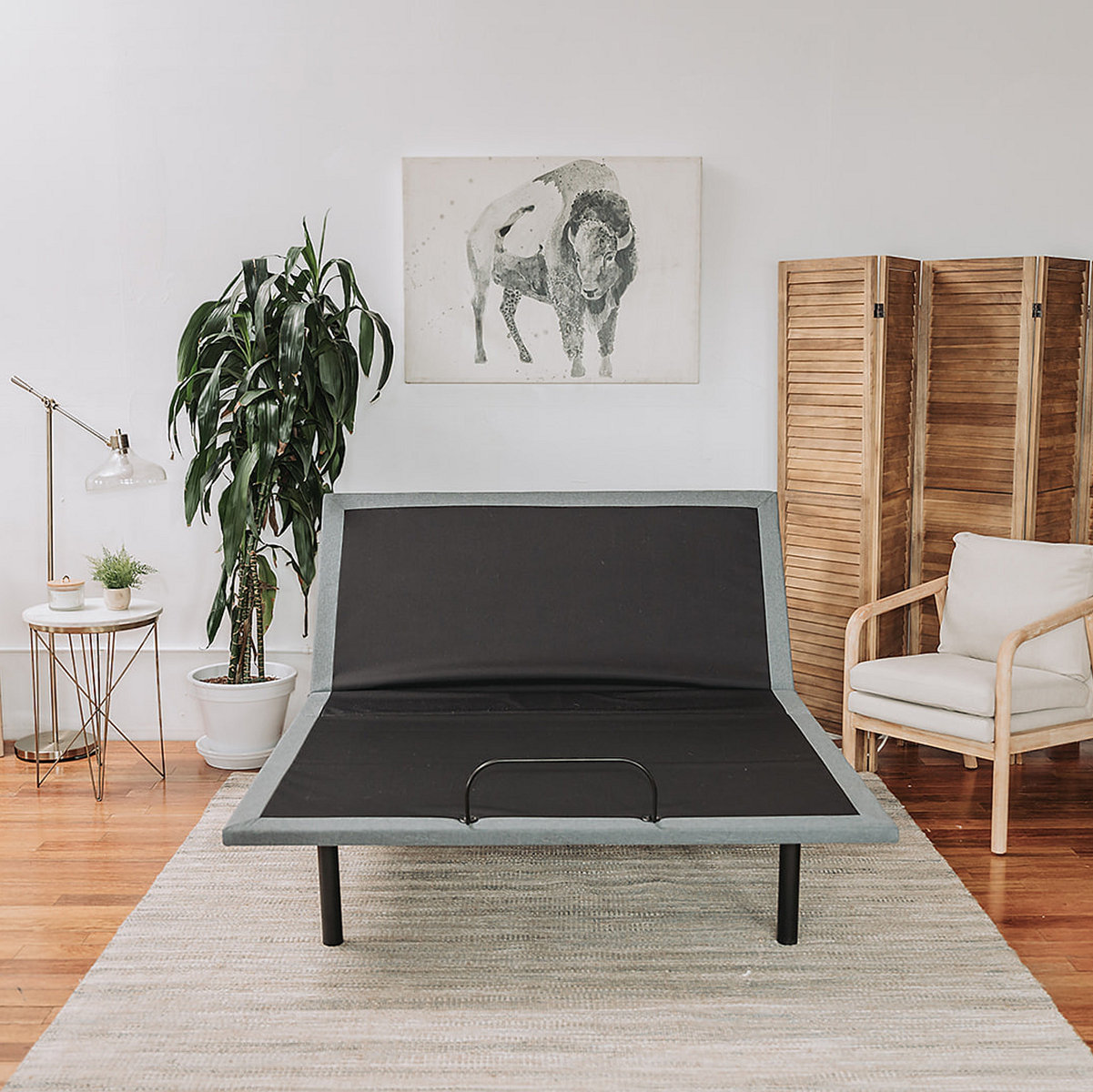 Alwyn Home Cal King Split Adjustable Bed For Ultimate Comfort And ...