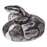 Hi-Line Gift Ltd. REGIUS BALL PYTHON STATUE & Reviews | Wayfair