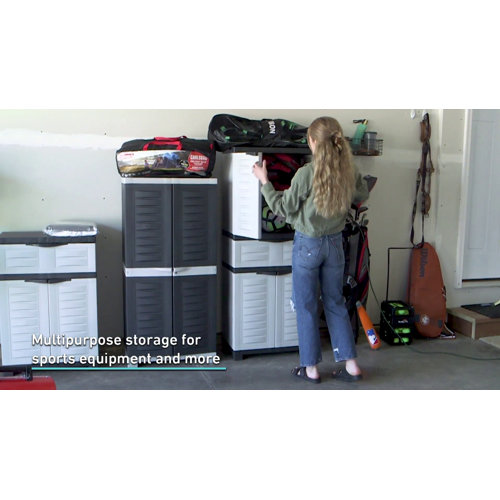 Winston Porter Storage Cabinet with 2 Adjustable Shelves and Center ...