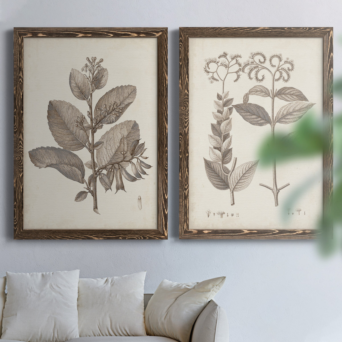 August Grove® Antique Sepia Botanicals VPremium Framed Canvas - Ready ...