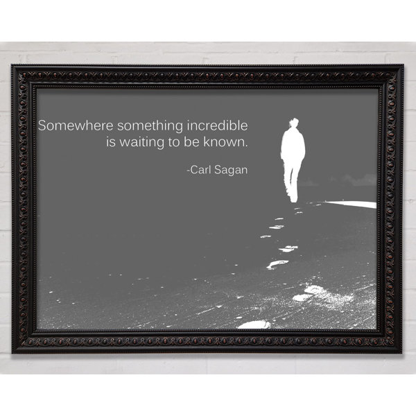 Bright Star Carl Sagan Somewhere Something Grey - Single Picture Frame ...