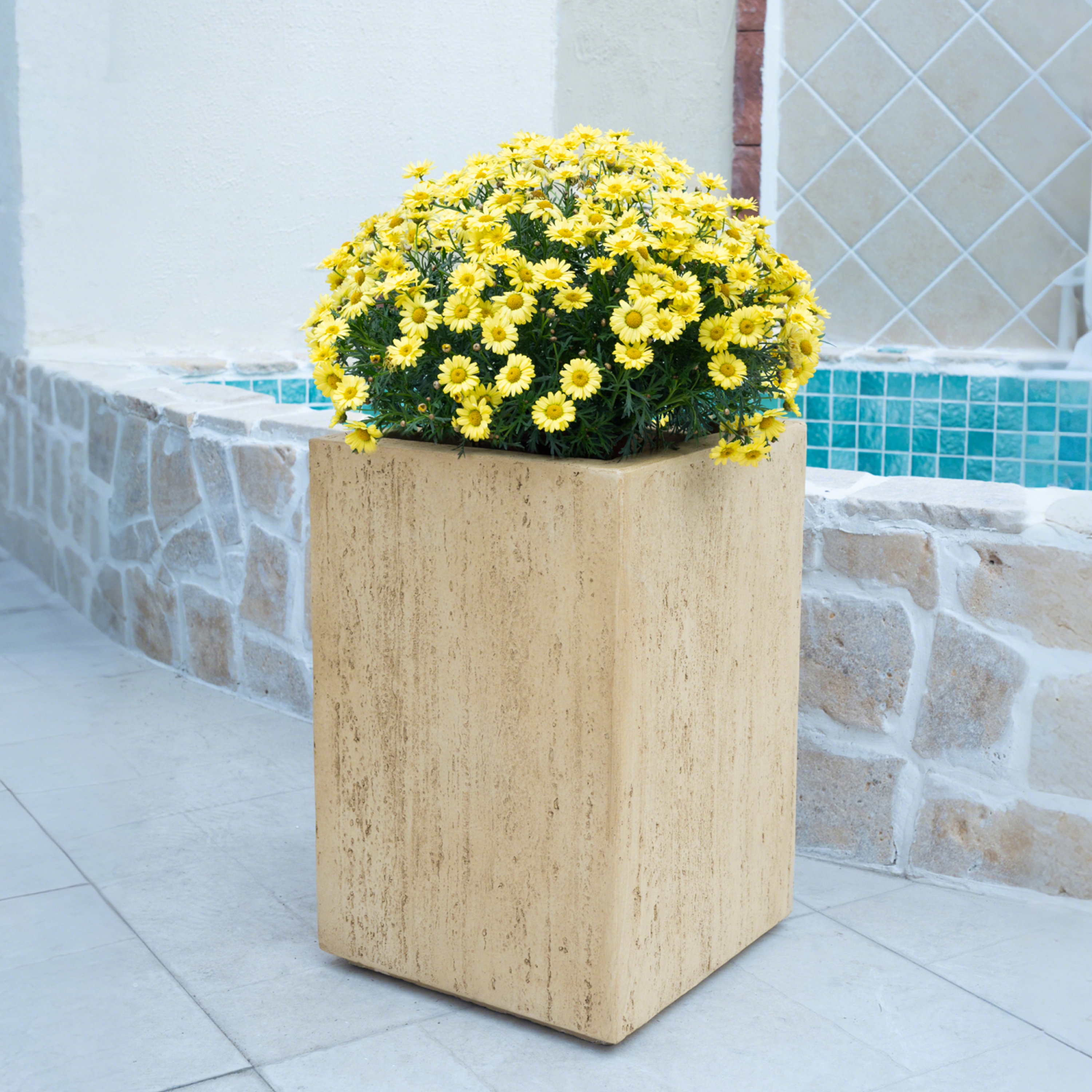 Latitude Run® MGO Handmade Rectangle Planter Box, 27''H, Travertine ...