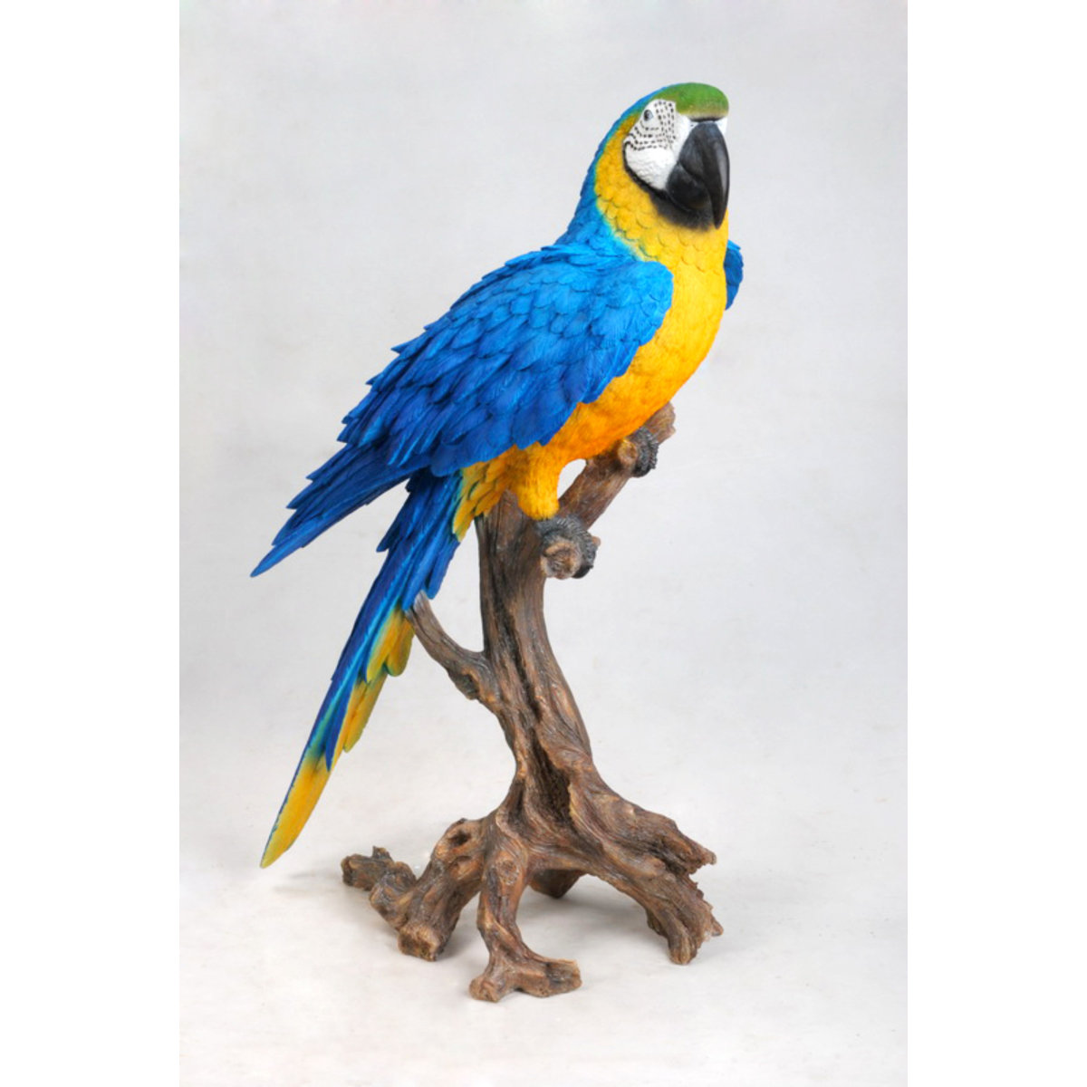 Hi-Line Gift Ltd. Macaw Statue & Reviews | Wayfair