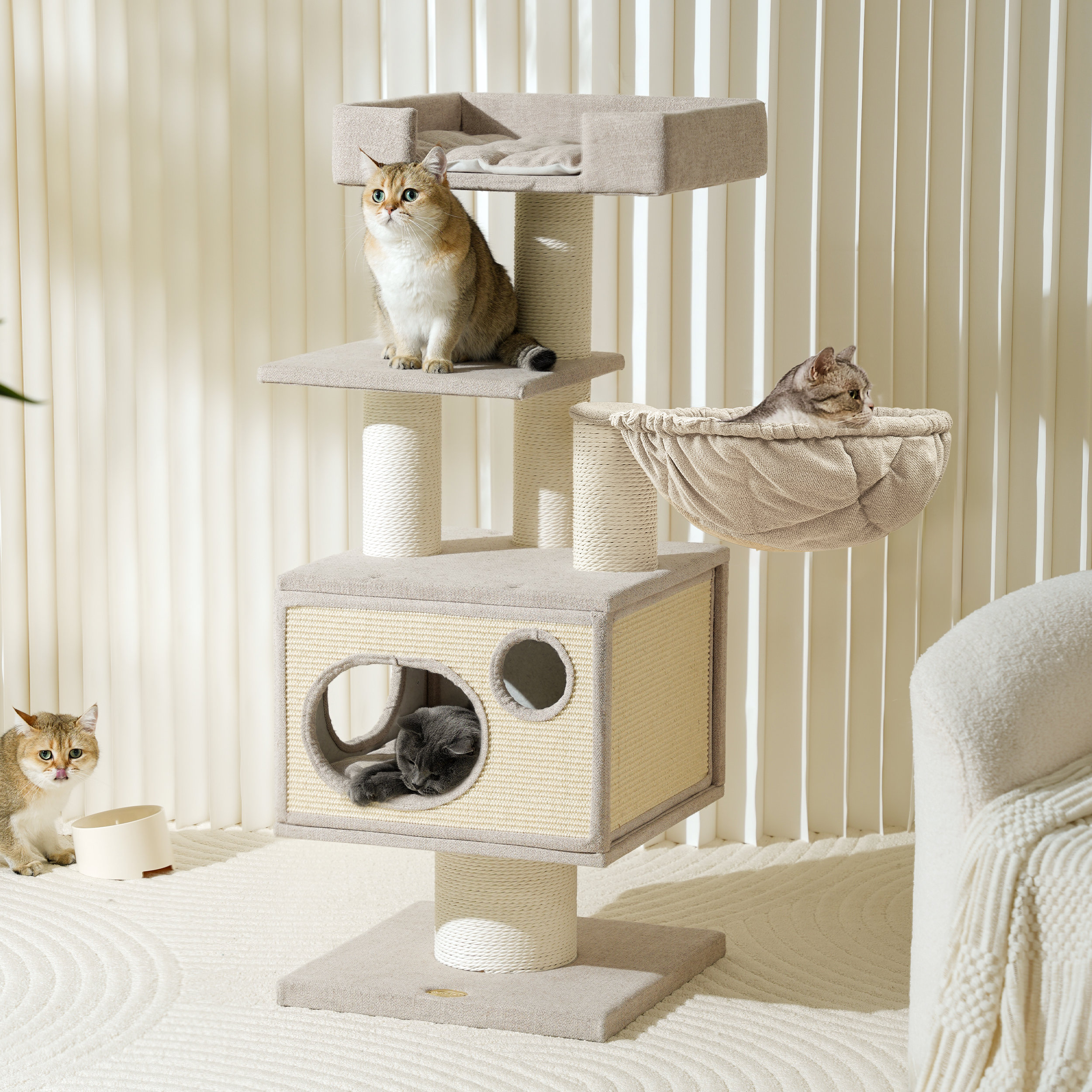 Tucker Murphy Pet™ 48.4 Inch Tall Maine Coon Cat Tree Tower For Indoor ...