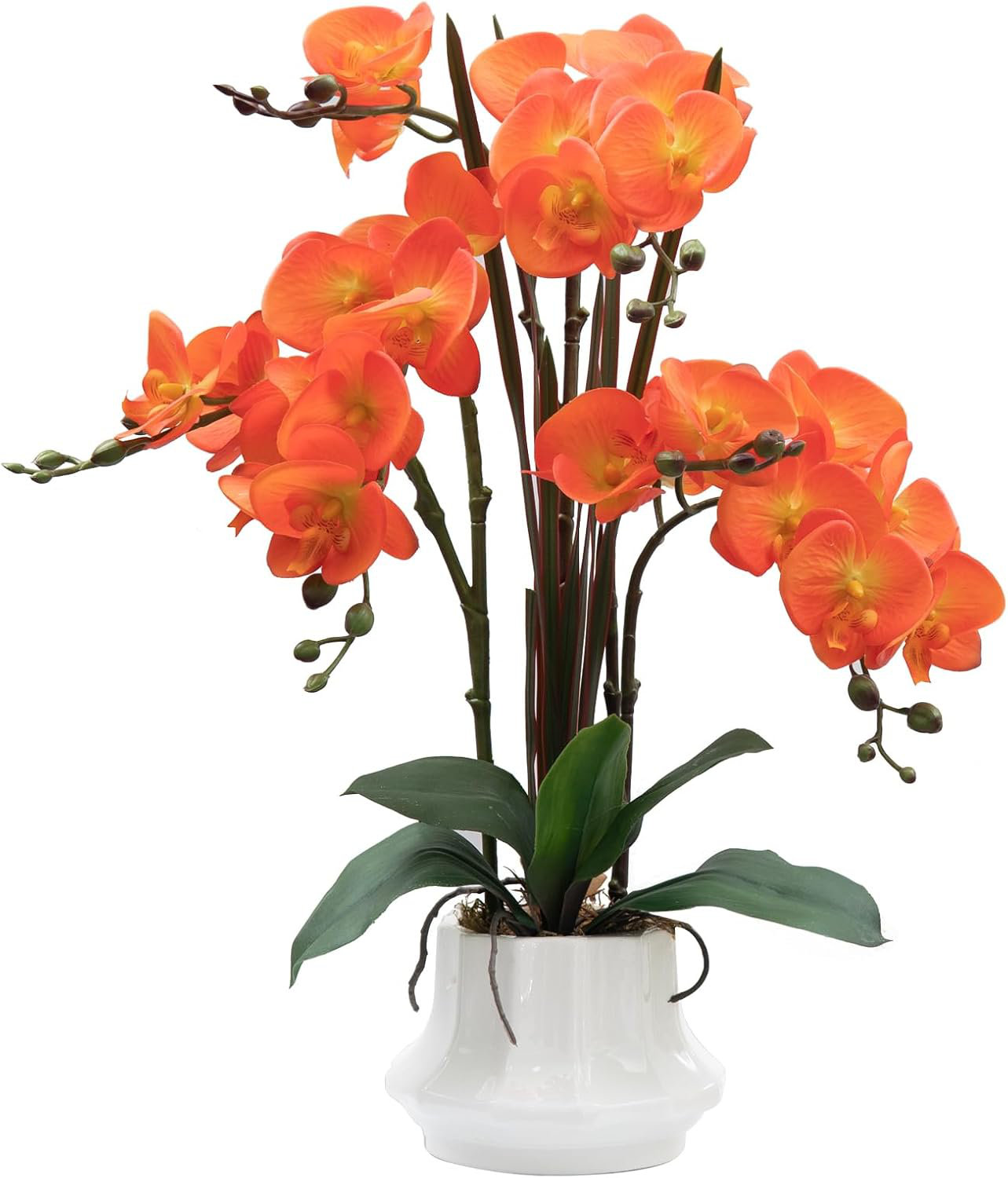 Primrue Orange Fake Phalaenopsis Flower with Ceramic Vase Realistic ...