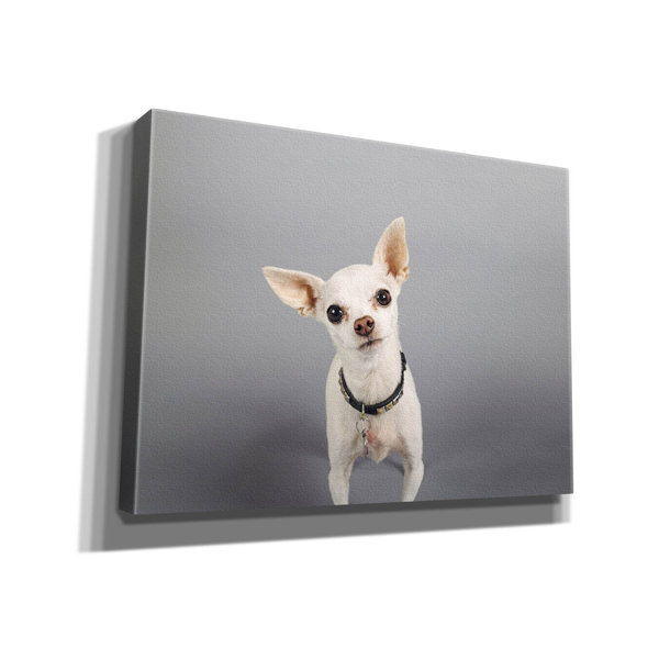 Latitude Run® Dunand " Psssst... " by Susan Sabo - Wayfair Canada