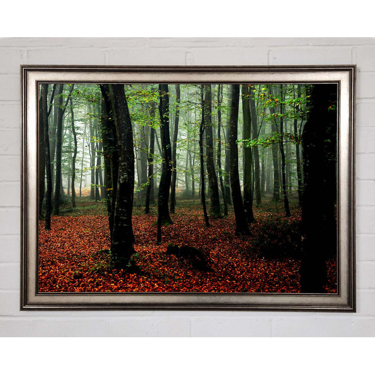 Union Rustic Emerald Forest Hide Away - Single Picture Frame Art Prints ...