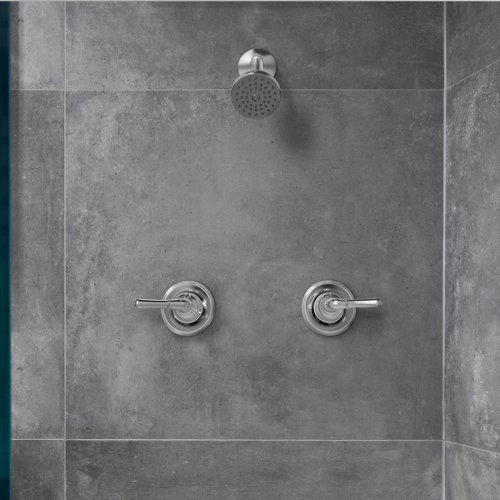 Wayfair | Twin Handle Shower Faucets & Systems